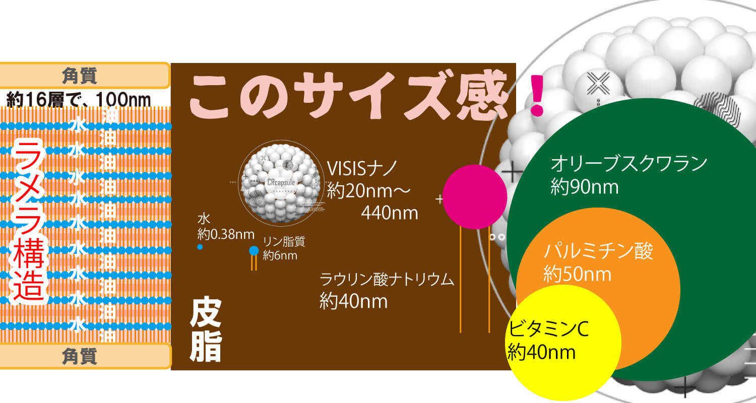 【VISIS式】浸透原理、気づく人は気付く - 【公式】VISIS HEALTHY SKIN本当の潤いを感じる